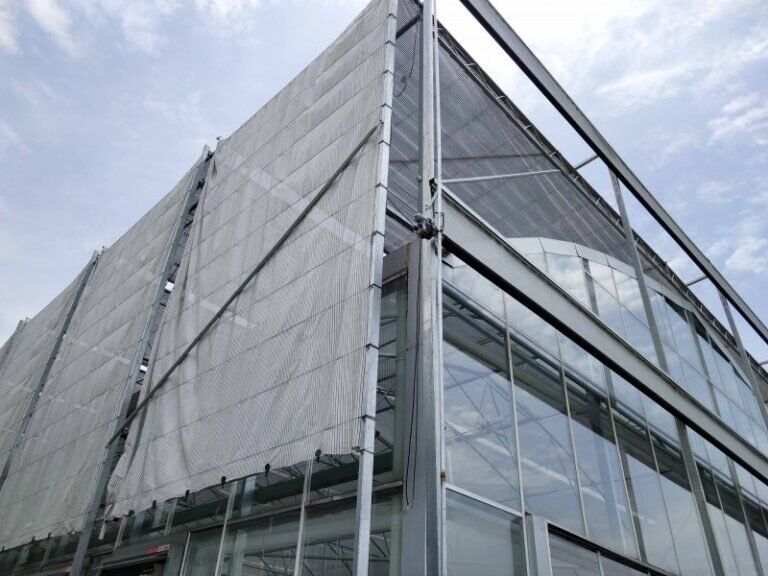 What is a Venlo Greenhouse? Let’s Dive Deep! - YSGreenhouse I One-stop ...